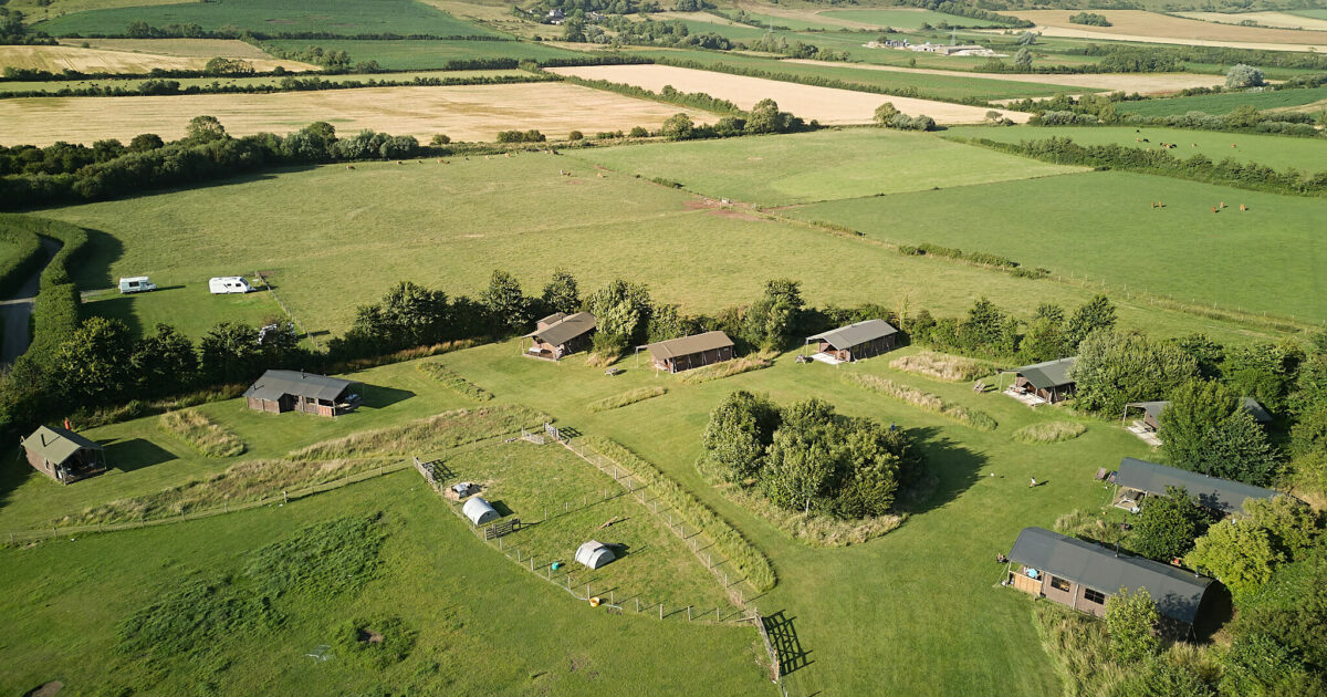 Farm Diversification | Ideas and Facts - Feather Down