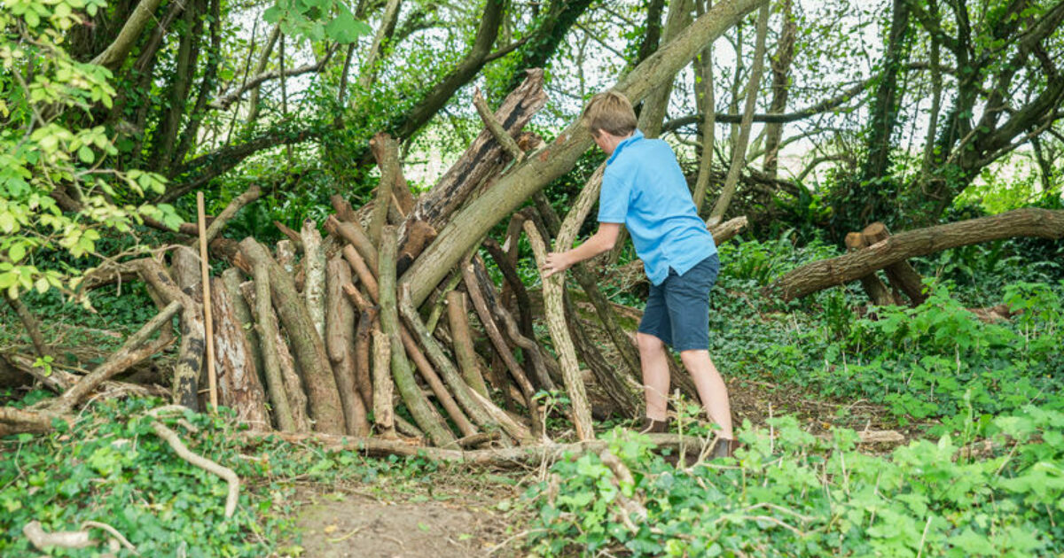 Top Tips for How To Build A Den - Feather Down