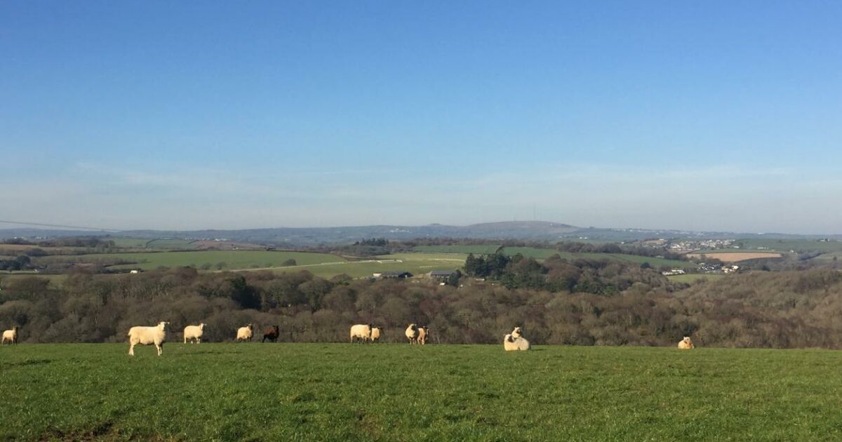 Family Farm Stays in Looe at Gwel Teg Farm - Feather Down