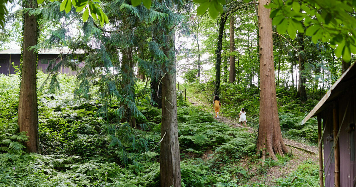 Family Farm Stays & Glamping in New Forest | Feather Dow - Feather Down