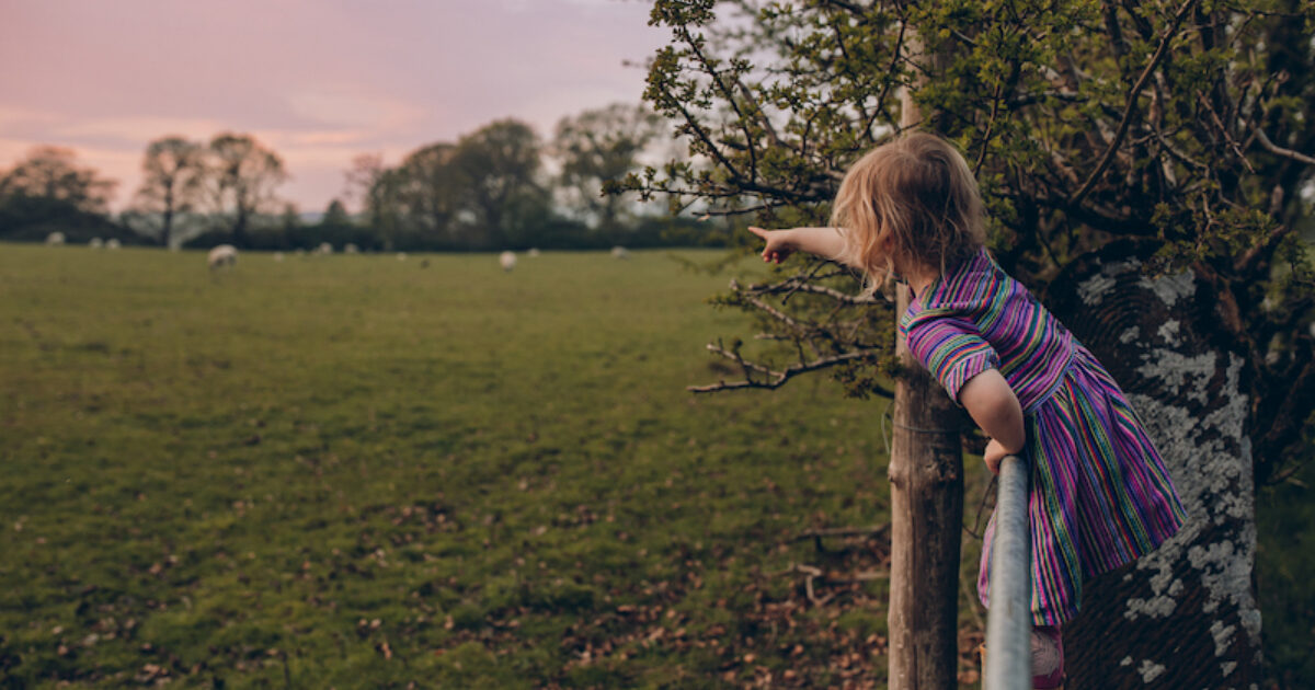 Glamping Style Farm Stays in September - Feather Down